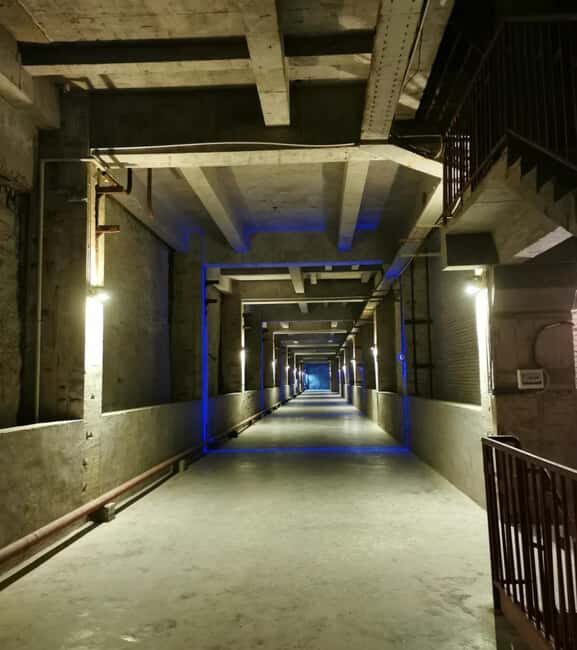 Unveiling Chongqing's Subterranean Wonders - What to Expect During Your Visit