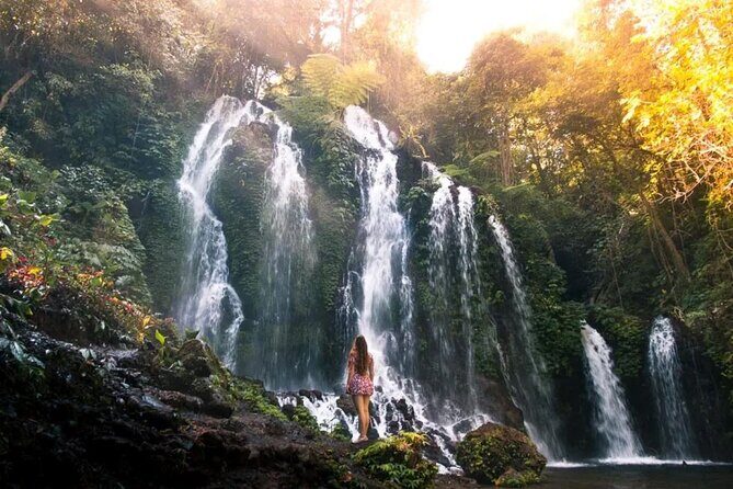 Unveiling North Bali's Hidden Waterfall Treasures - Who Will Love This Tour?