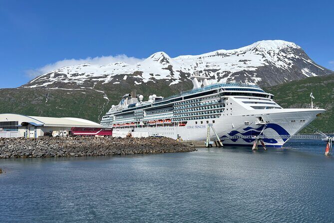 Up to 10 Person Seward to Anchorage Cruise Ship Transfer - A Deep Dive into the Seward to Anchorage Transfer Experience