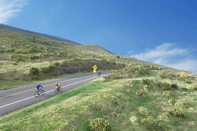 UPCOUNTRY Wednesday Haleakala Downhill Bike Ride w/Maui Sunriders - Why This Tour Stands Out