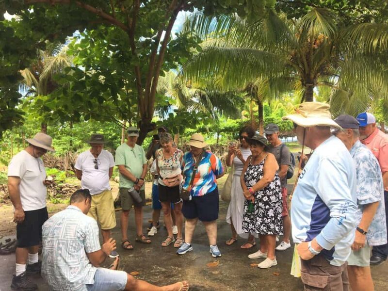 Upolu Samoa Full Day Private Tour - What Reviewers Keep Highlighting