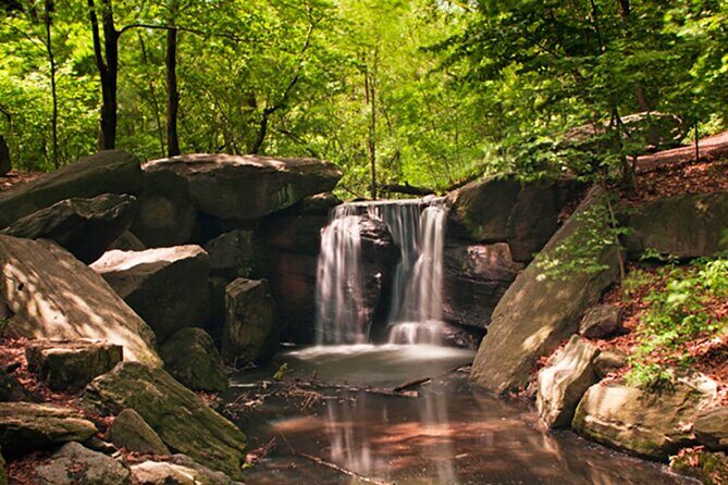 Upper Central Park Running Tour - What to Expect from the Upper Central Park Running Tour