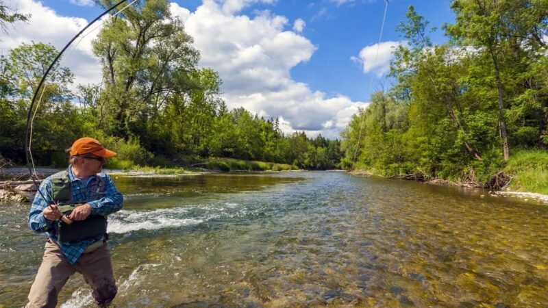 Upper Colorado River Guided Fly Fishing Trip - An In-Depth Look at the Experience