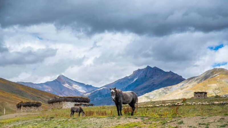 Upper Dolpa Cultural Trek - The Heart of the Trek: Highlights and Cultural Gems
