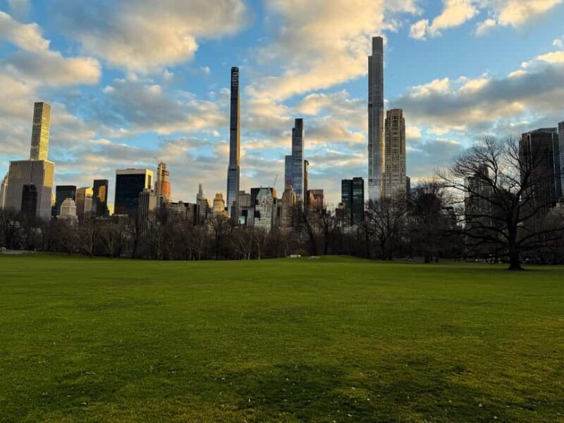 Upper East Side NYC Architecture Walking Tour - Introduction