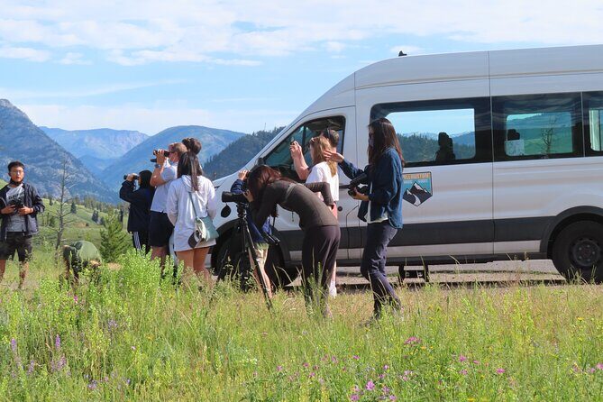 Upper Loop Tour and Lamar Valley from West Yellowstone with Lunch - A Practical Breakdown of the Experience