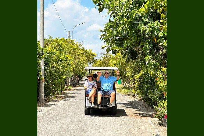 Upper Mekong River Full-Day Group Tour (My Tho & Ben Tre) - Honey Tea and Local Industries
