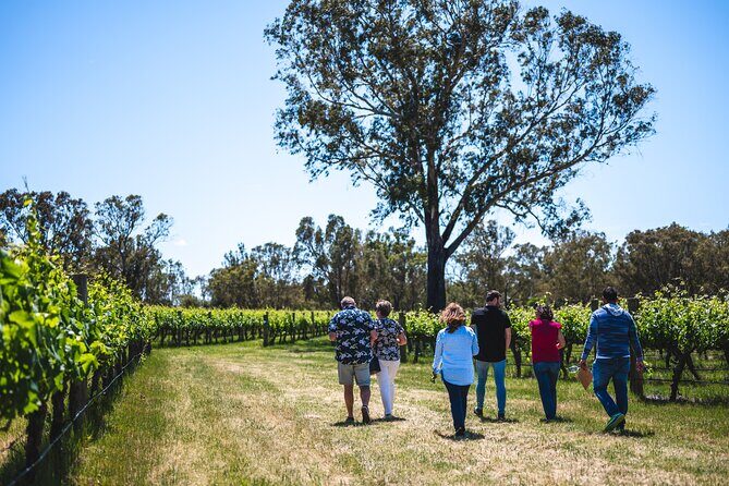 Upper Reach Winery: Swan Valley Winery and Vineyard Tour - A Closer Look at the Swan Valley Winery Tour