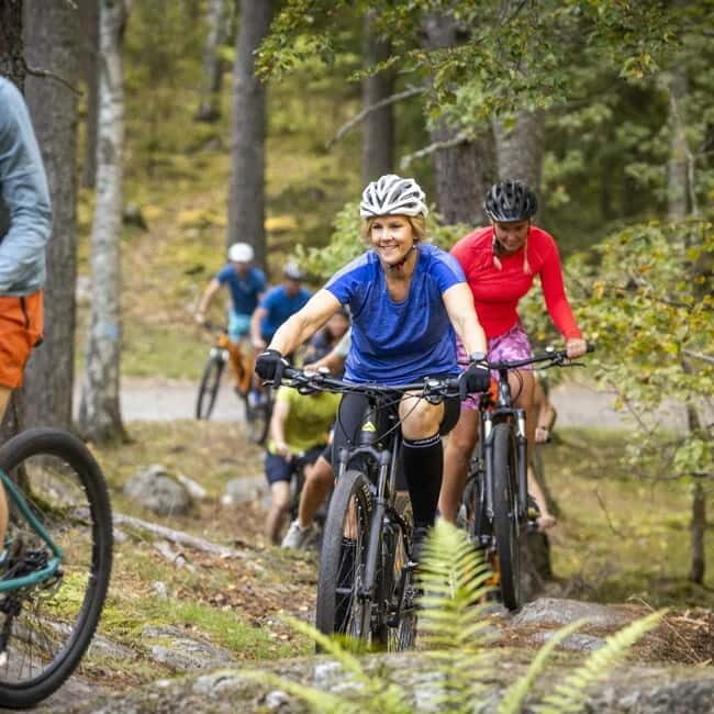 Uppsala: Mountain Bike Rental with Helmet - Why Choose This Mountain Bike Rental in Uppsala?