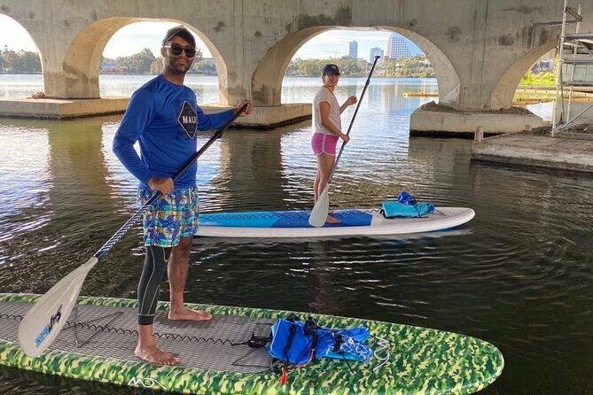 Urban Clear Kayak or Clear Paddleboard in Paradise: Morning/Night - Authentic Insights from Reviews
