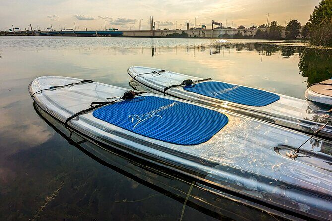 Urban Clear Kayak or Clear Paddleboard in Paradise: Morning/Night - How It Compares to Other Orlando Activities