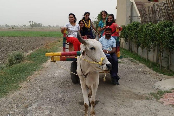 Urban Farm Trip Amritsar - A Deep Dive into the Experience