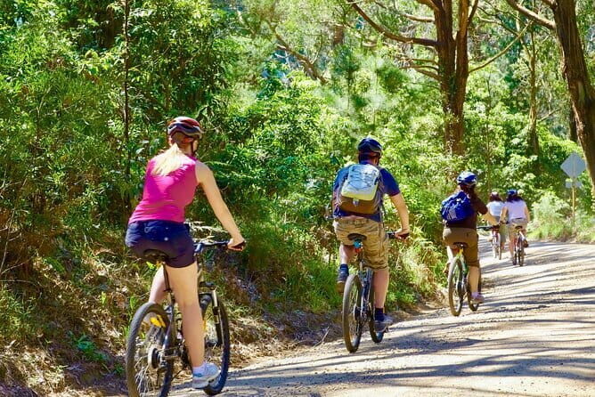 Urban Jungle Trail Cycling Tour from Colombo - A Closer Look at the Urban Jungle Trail Cycling Tour