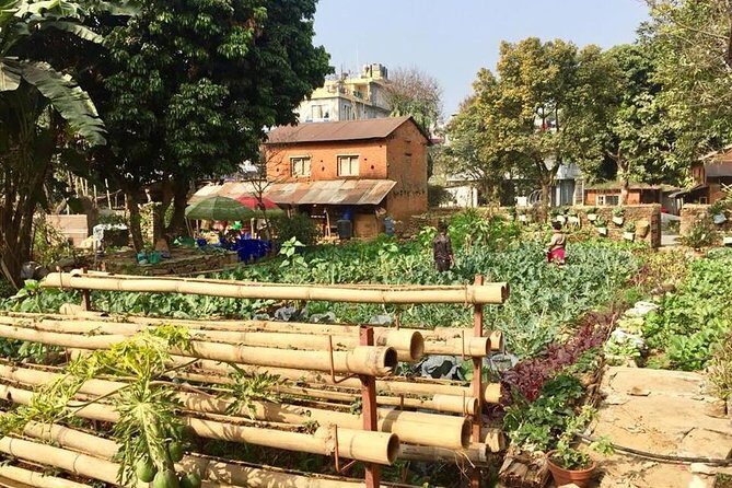 Urban Organic Farm Tour with Authentic Nepali Lunch in Pokhara Nepal - Urban Organic Farm Tour with Authentic Nepali Lunch in Pokhara Nepal