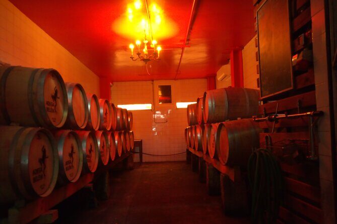 Urban winery tour, premium tasting flight & tapas - Key Points