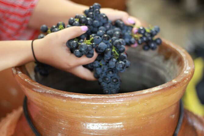 Urban winery tour, premium tasting flight & tapas - The Tasting: Five Wines and Artisan Food