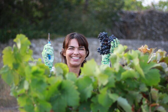 Urban winery tour, premium tasting flight & tapas - Duration and Practicalities