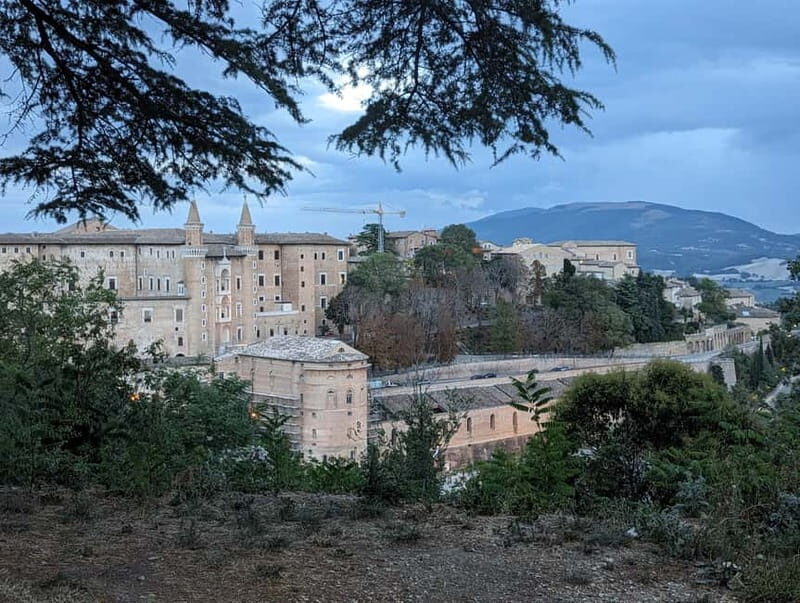 Urbino: Ducal Palace Guided Tour - Exploring Urbino’s Ducal Palace: A Deep Dive