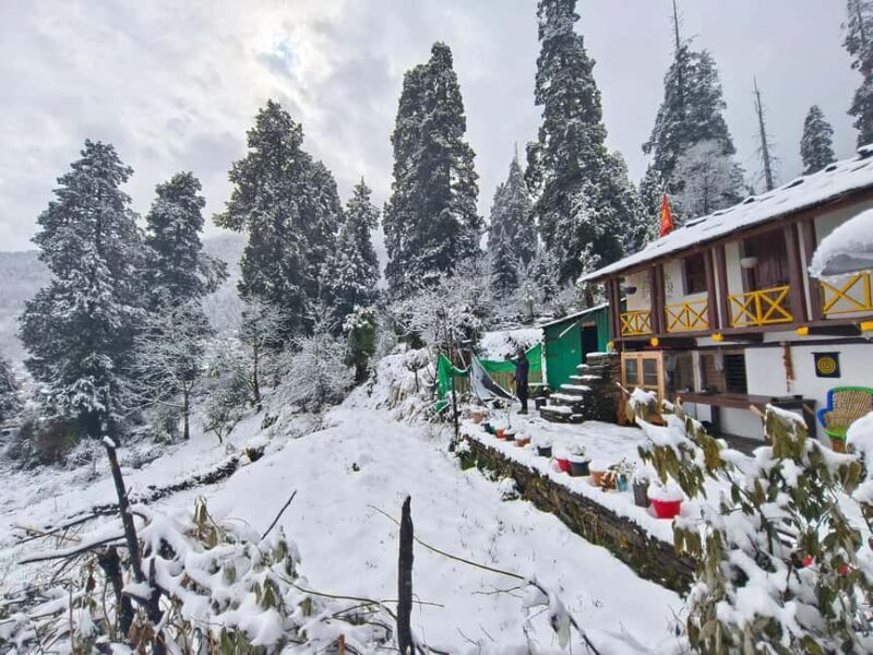 Urgam Valley: An offbeat Himalayan Tour with Yoga & Treks - Who This Tour Is Perfect For