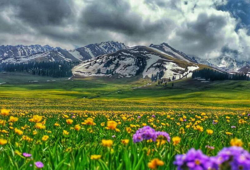 Urumqi: 8-Day Private Tour to Sayram Lake and Yining - Exploring the Itinerary in Detail