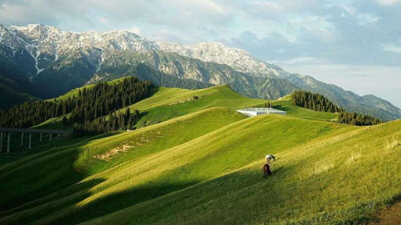 Urumqi: 8-Day Private Tour to Sayram Lake and Yining - Is It Worth the Price?