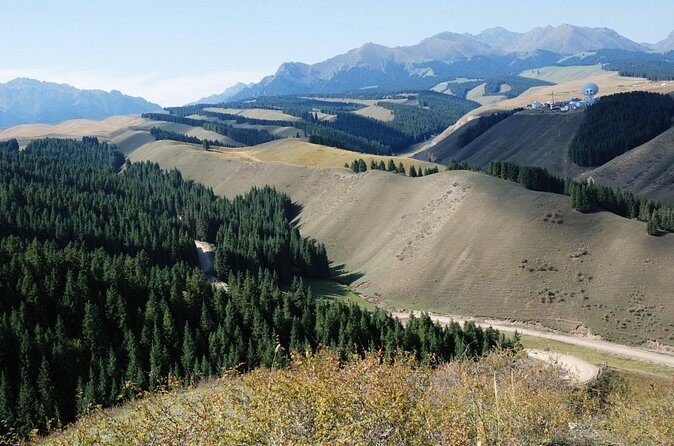 Urumqi Private Arrival Transfer: Airport to Hotel - The Sum Up