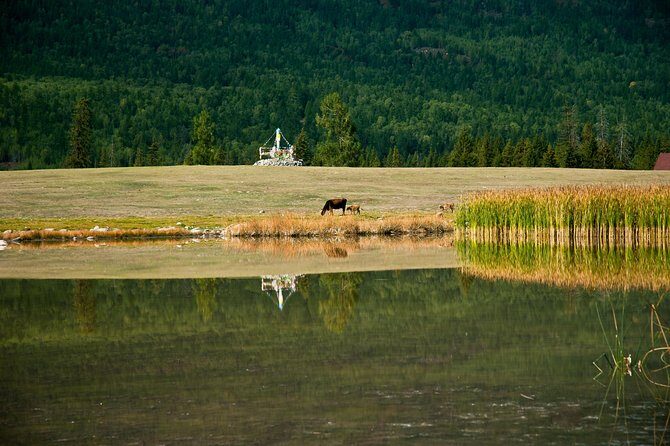 Urumqi Private Departure Transfer: Hotel to Airport - FAQ About the Urumqi Private Departure Transfer