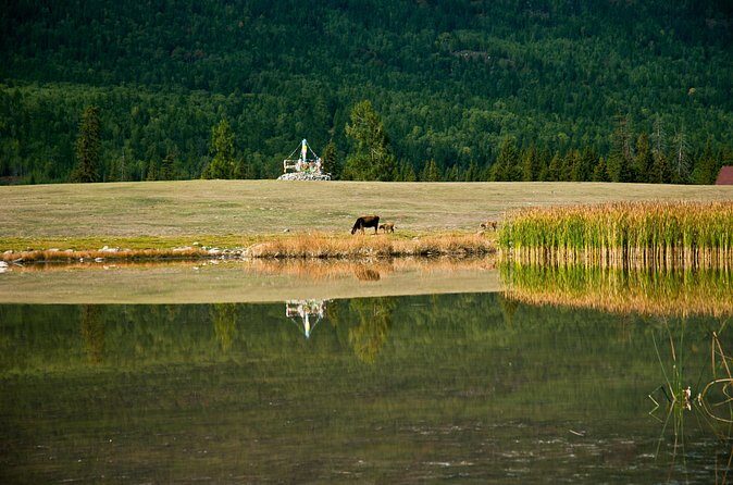 Urumqi Private Departure Transfer: Hotel to Railway Station - FAQs