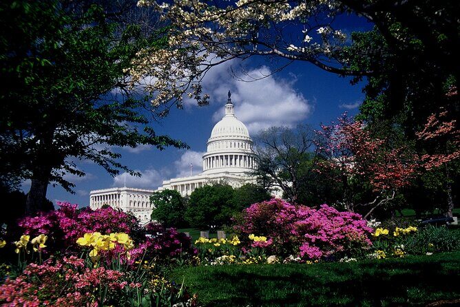 US Capitol & Library of Congress with Guided Walk of Capitol Hill - The Sum Up