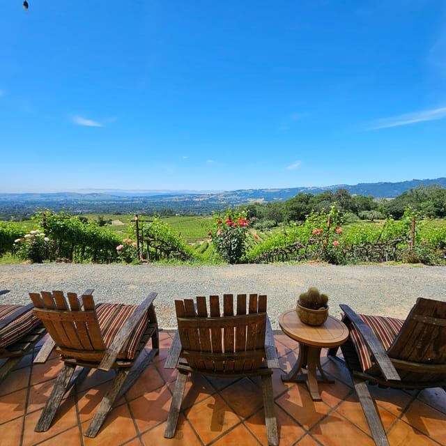 USA/California/Napa: Private Wine Tour for up to 6 guests - The Experience in Detail