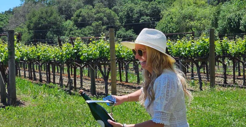 USA/California/Napa: Private Wine Tour for up to 6 guests - Who Should Consider This Tour?