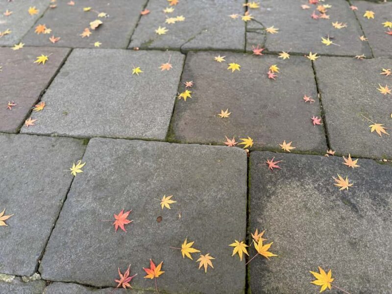 Usa Jingu Shrine Private Tour with Guide from beppu - FAQs