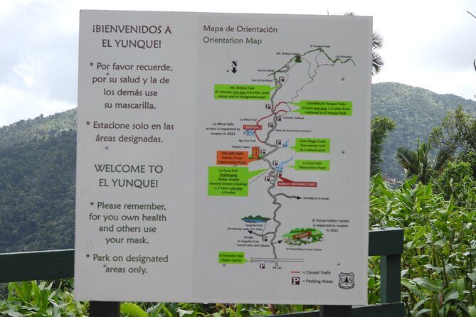 USDA El Yunque National Forest and Luquillo Beach Tour - Summary: Who Will Love This Tour?