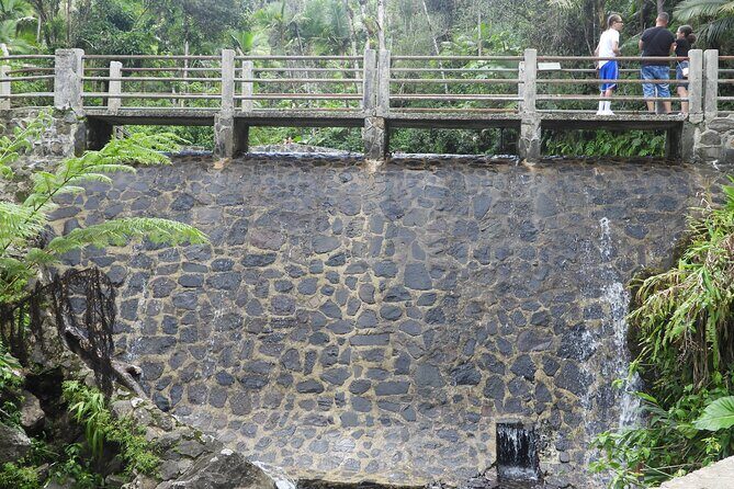 USDA El Yunque National Forest and Luquillo Beach Tour - FAQ: Common Questions About the Tour