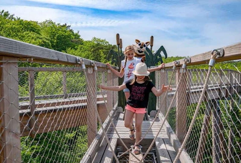Usedom: Treetop Walk Adventure on Usedom Island - Final Thoughts: Who Should Visit?