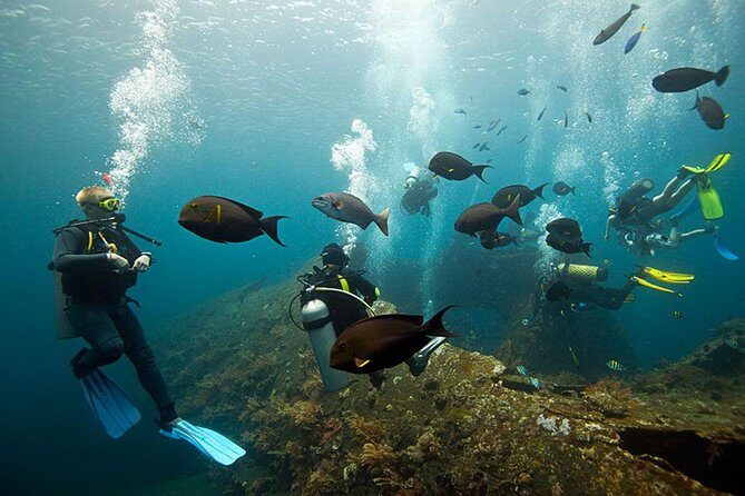 USS Liberty Shipwreck Scuba Diving at Tulamben Bali - Introduction: Why This Tour Might Be Your Bali Underwater Highlight