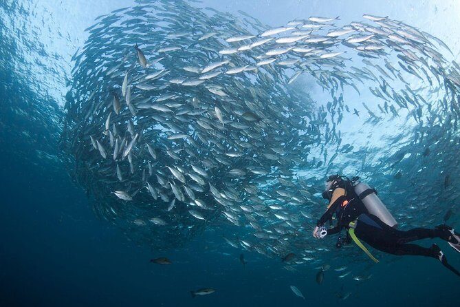 USS Liberty Shipwreck Scuba Diving at Tulamben Bali - Review Highlights and Authentic Traveler Perspectives
