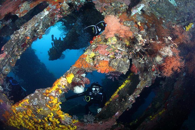 USS Liberty Shipwreck Scuba Diving at Tulamben Bali - FAQ