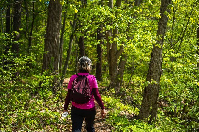 Usuzan Volcano Guided Hiking Private Tour - Key Points