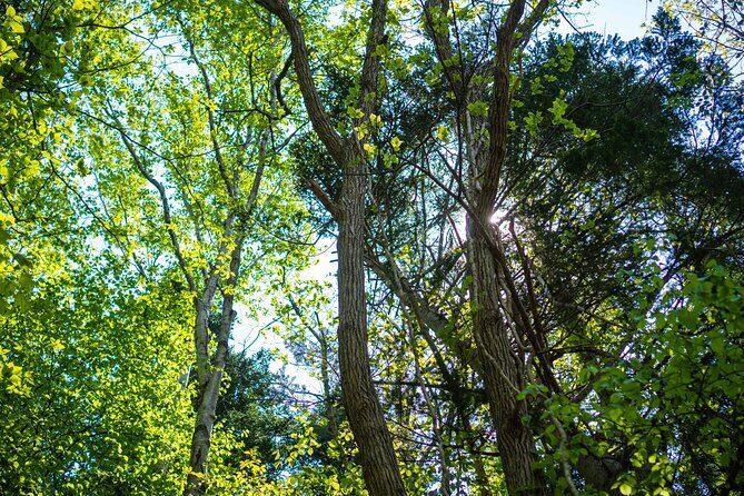 Usuzan Volcano Guided Hiking Private Tour - Final Thoughts