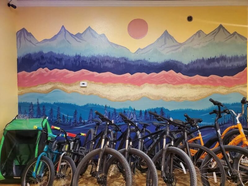 Utah: Candy Mountain Express Bike Trail Full Day Rental - A Closer Look at the Trail and Experience