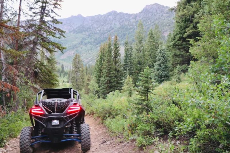 Utah: Guided UTV Tour with Local Expert - Exploring Utah’s Backcountry: An Unfiltered Perspective