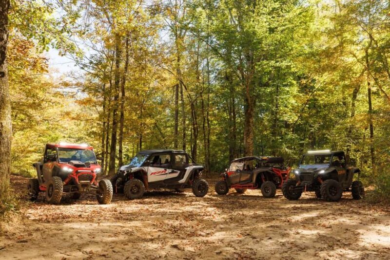 Utah: Guided UTV Tour with Local Expert - Why This Tour Offers Good Value