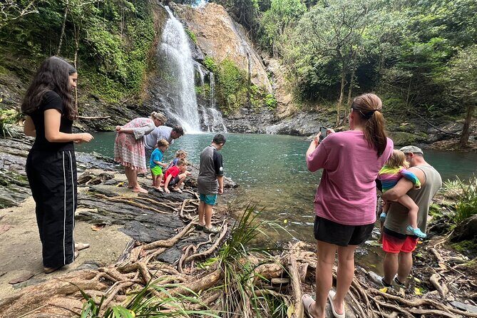UTV 4wd Cassowary Falls and Daintree Rainforest Adventure tour - Authentic Traveler Feedback