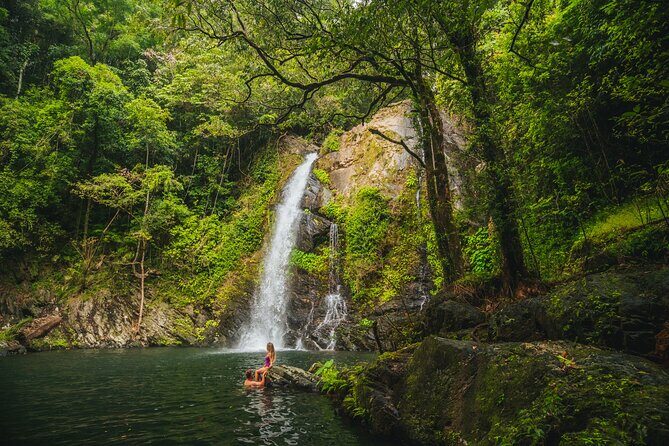UTV 4wd Cassowary Falls and Daintree Rainforest Adventure tour - Who Should Consider This Tour?