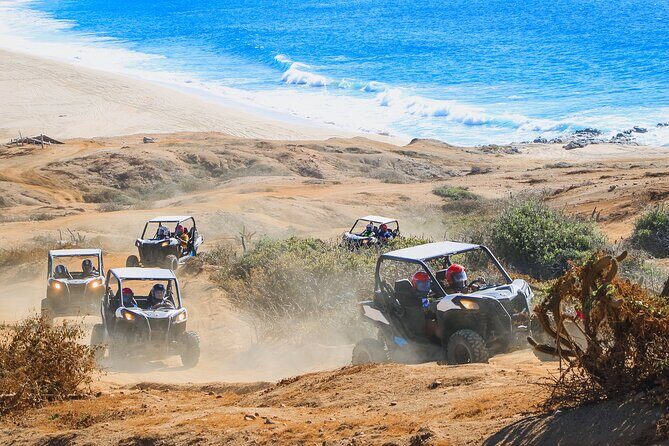 UTV Adventure + Free Camel Ride & Sky Bikes - Exploring the Adventure: What You Can Expect