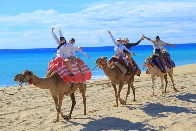UTV Adventure + Free Camel Ride & Sky Bikes - Who Should Book This Tour?