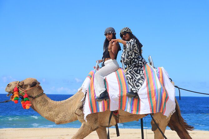 UTV Adventure + Free Camel Ride & Sky Bikes - Final Thoughts: Is It Worth It?