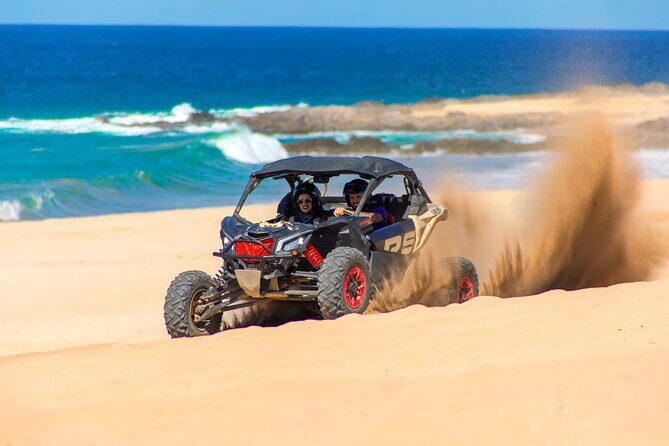 UTV and Camel Ride in the Cabo Desert - A Deep Look into the Cabo Desert UTV and Camel Ride Tour
