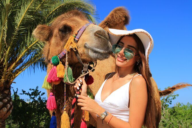UTV and Camel Ride in the Cabo Desert - Final Thoughts